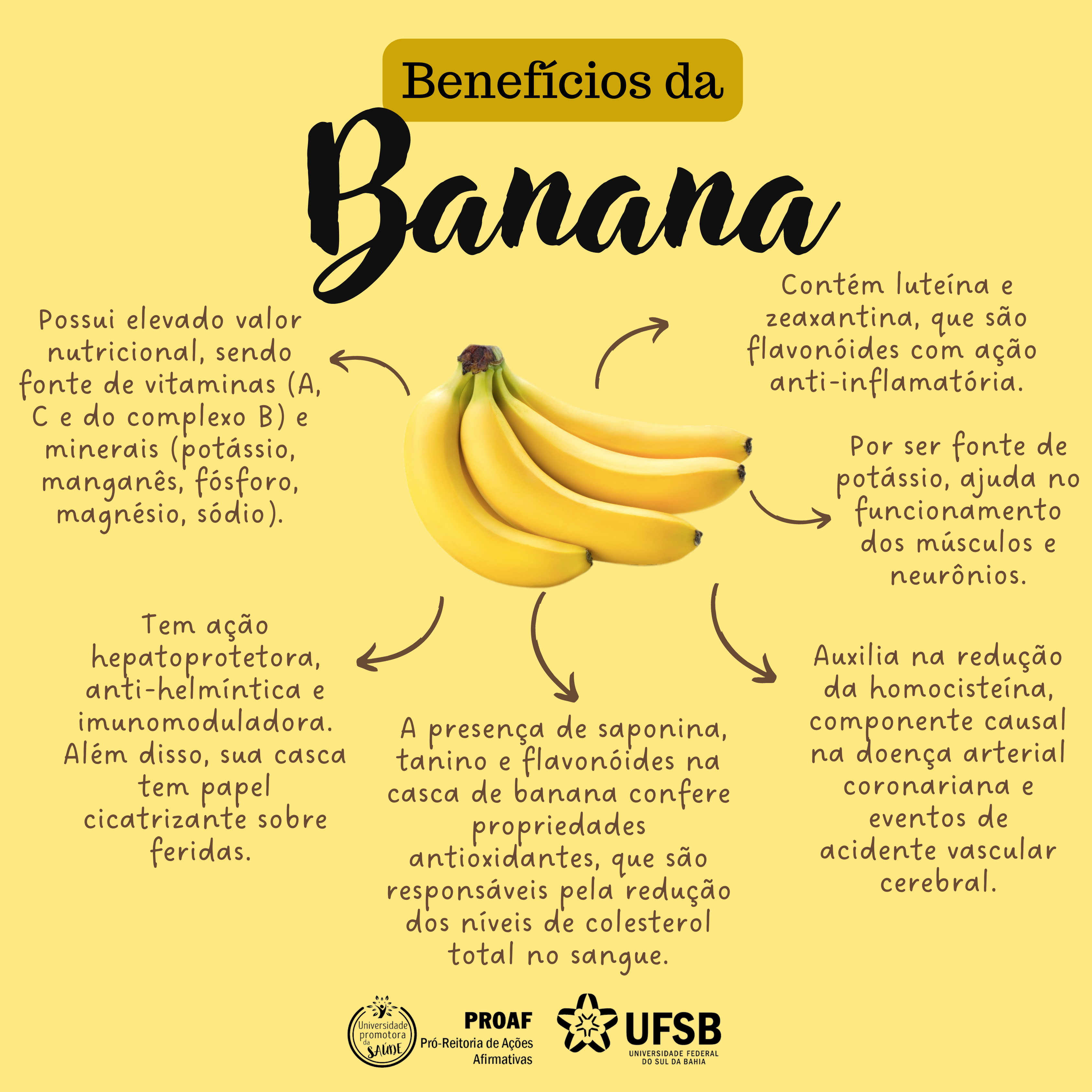 DICA DA NUTRI - Banana - PROAF